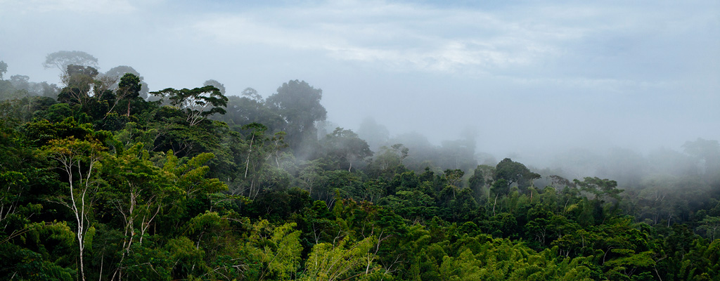 Discover Top Amazon Destinations | Anakonda Amazon Cruises